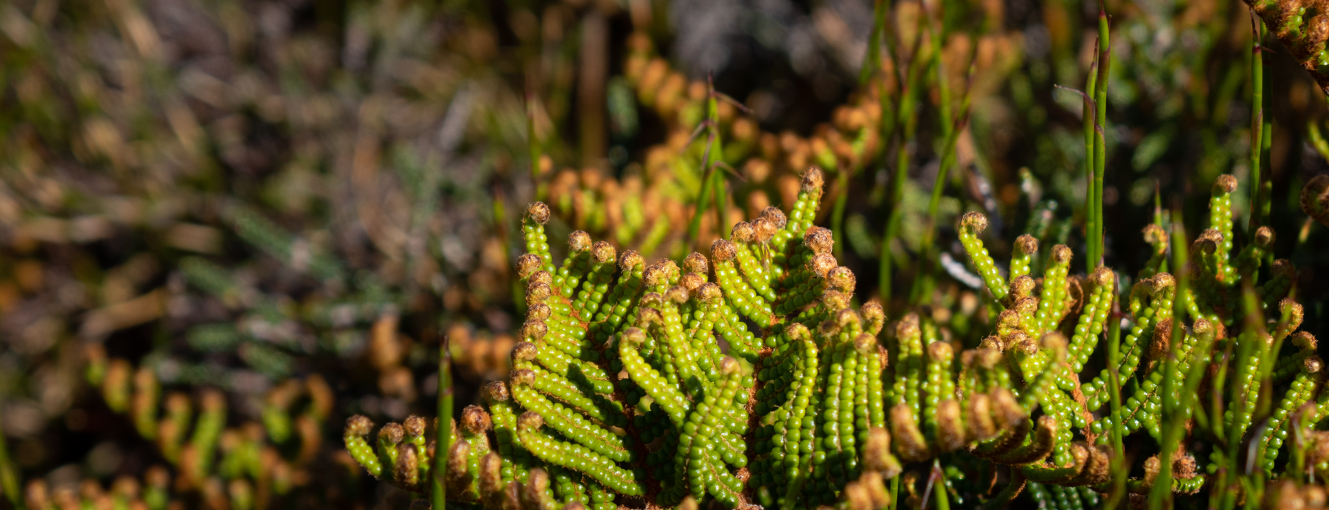 Gseh in… | Unsere Reisen in Bild und Text